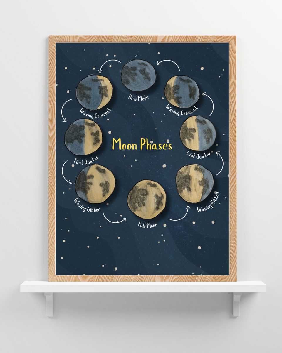 Printable Moon Phases Poster- A4 and A3 Size – Learning Differently NZ