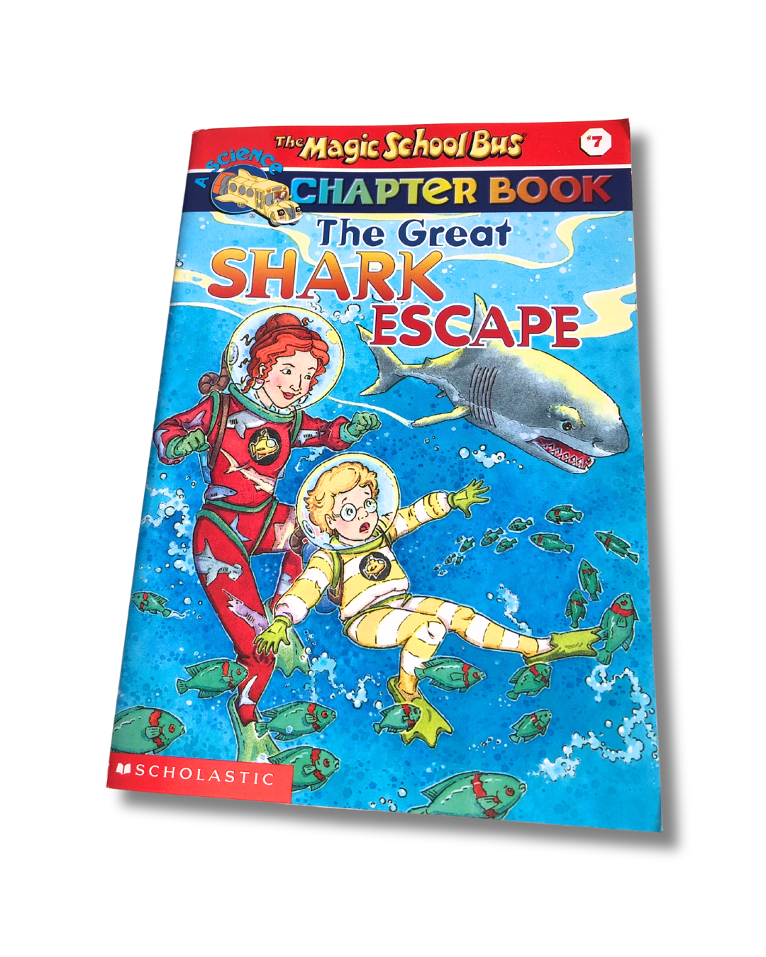 The Magic School Bus - Chapter Book Series – Learning Differently NZ