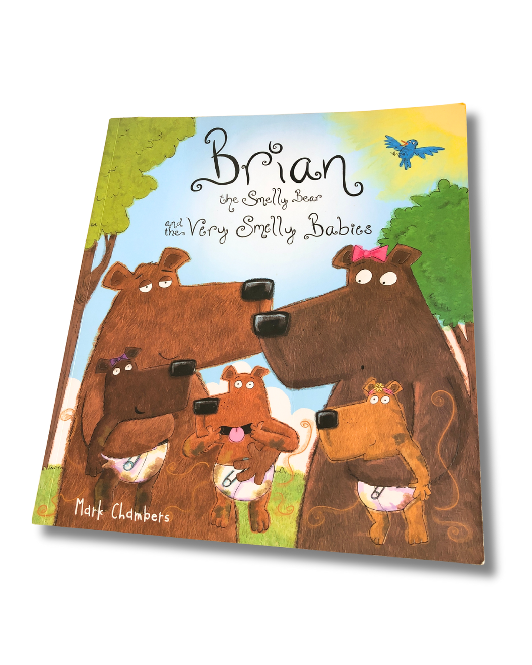 Brian the Smelly Bear and the Very Smelly Baby by Mark Chambers ...